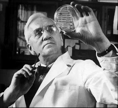 How was Alexander Fleming Awarded the Nobel Prize in Physiology or ...