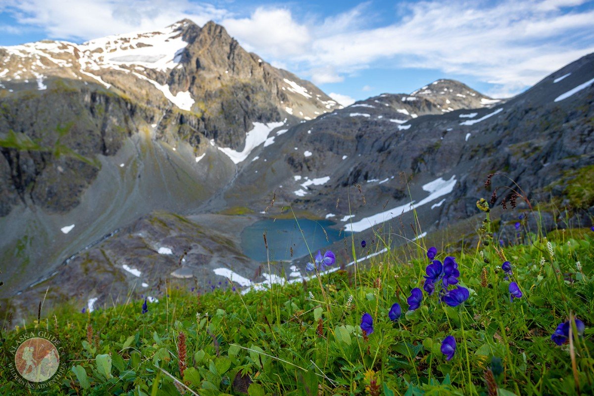 How to Reach Chugach Mountains: A Guide to Exploring Alaska