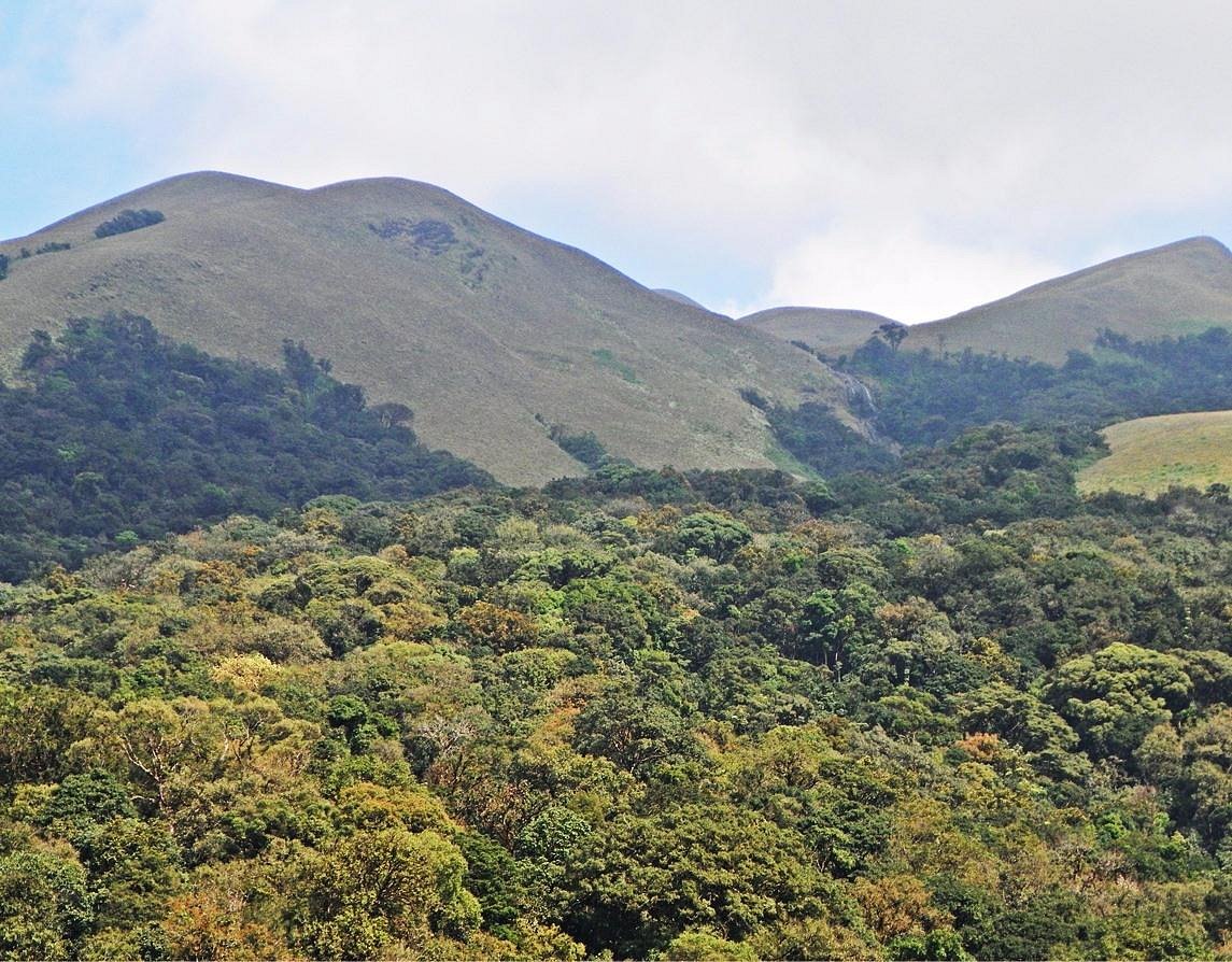 The Western Ghats: Your Ultimate Guide on How to Reach