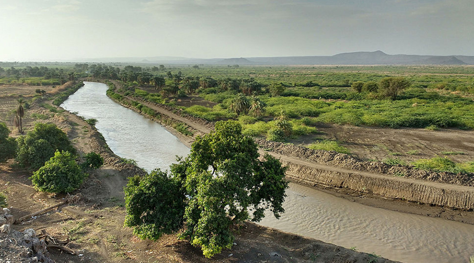 Reach Awash River: A Traveler's Guide