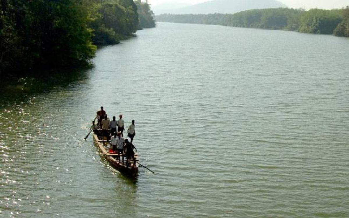 Reach Periyar River: Unveiling Pathways to Nature's Haven in the Kerala ...