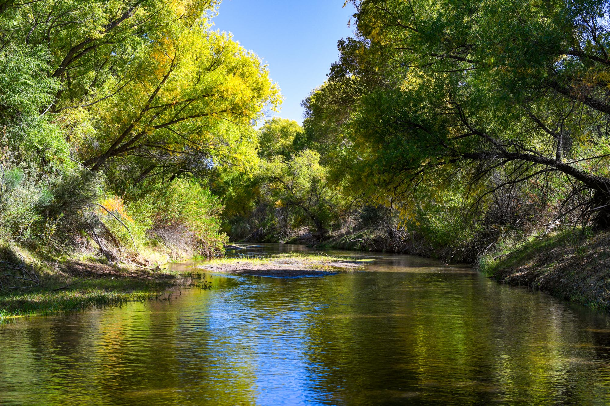 Reach Gila River: Embark on a desert journey