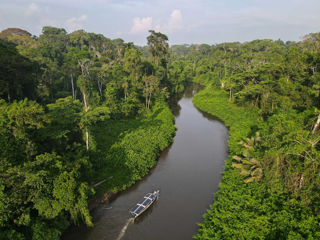 Reach Amazon River: A Guide on How to Reach the Mighty River Adventure