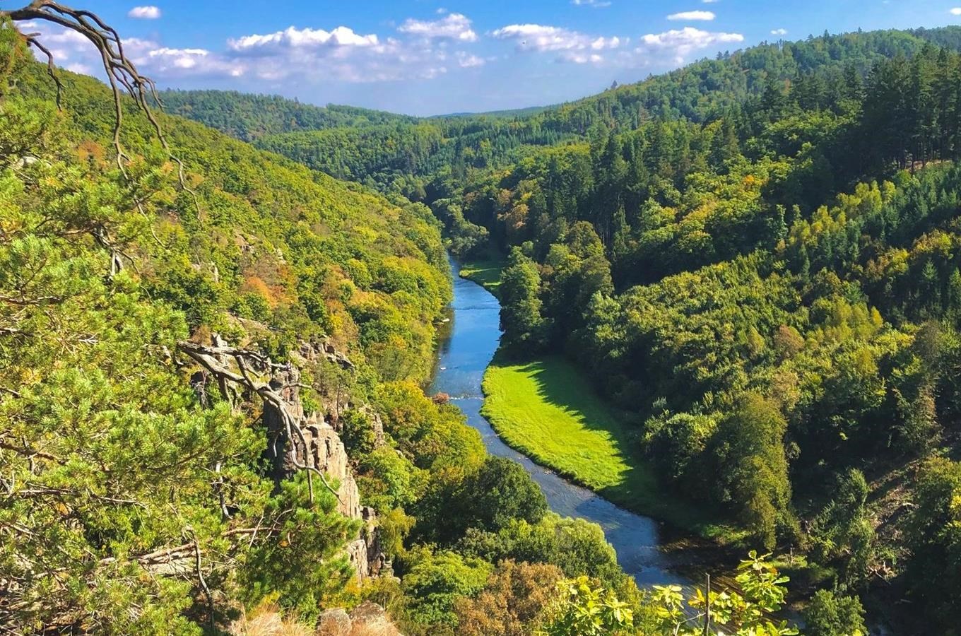 Reach Meander River: Your Ultimate Travel Guide