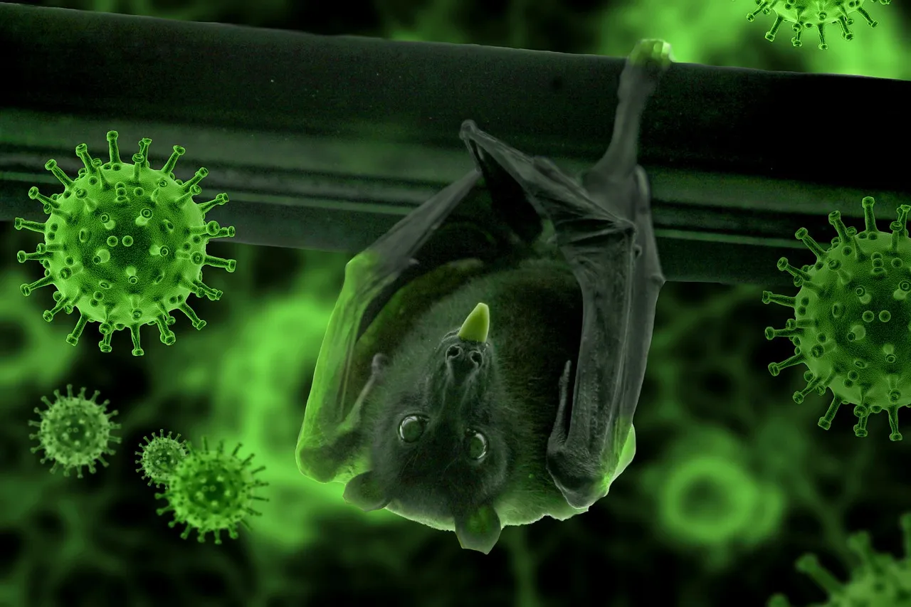 Nipah Virus Transmission: Uncovering the Pathways and Protecting Lives